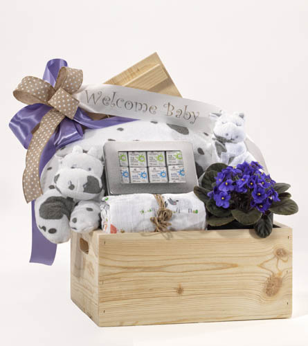 New Baby | Boston Florist | Stapleton Floral Design