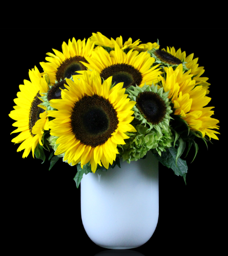 Seasonal Flowers | Just Because Flowers | Boston Florist | Stapleton ...