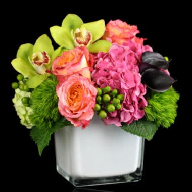 Boston Florist | Stapleton Floral Design