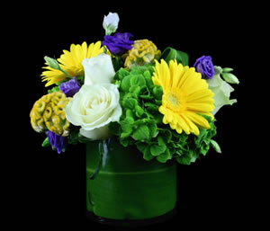 Boston MA Flower Delivery | Boston Florist | Stapleton Floral Design