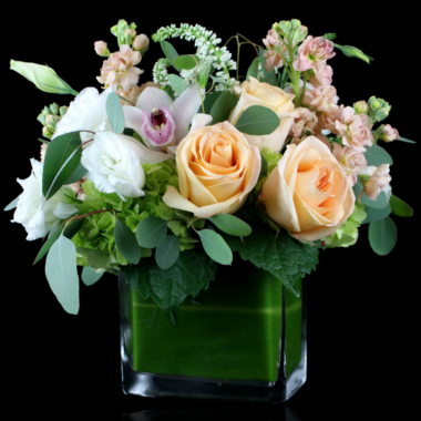 Boston Florist | Stapleton Floral Design
