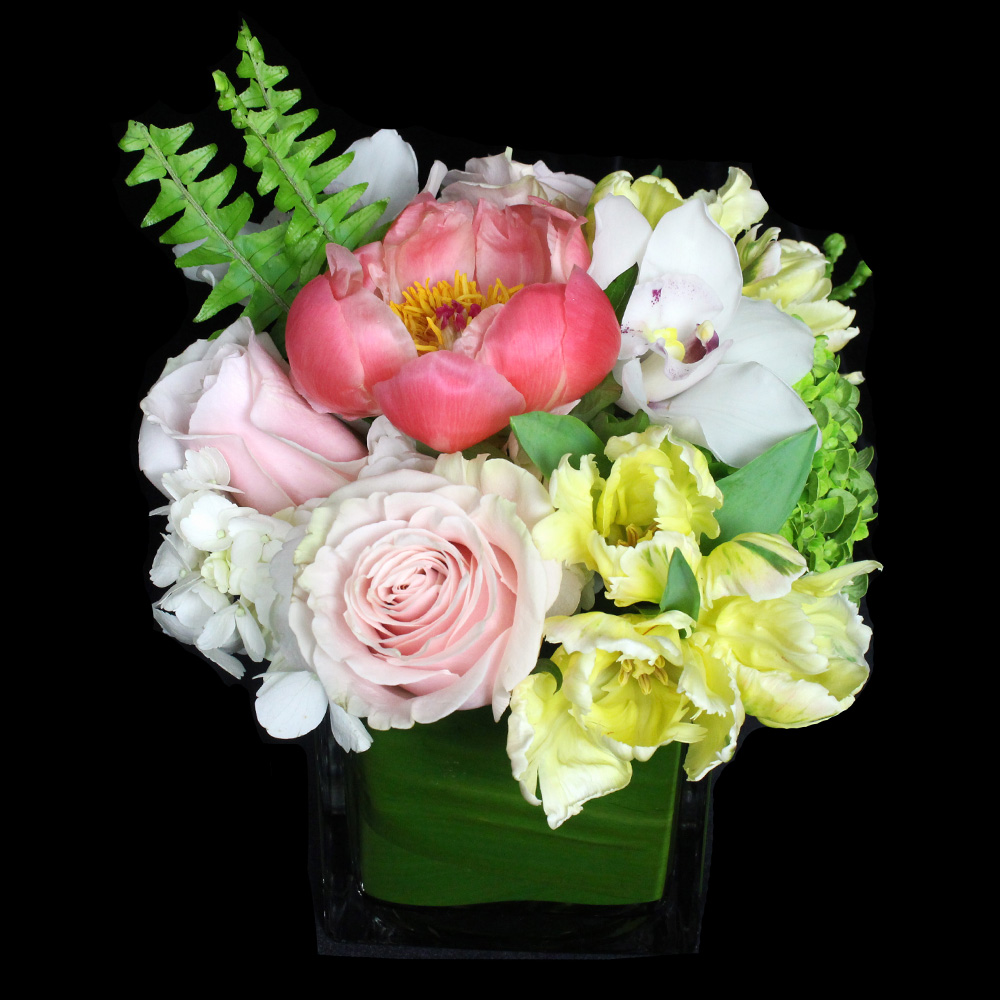 Our Mother's Day Collection - Boston Florist | Stapleton Floral Design